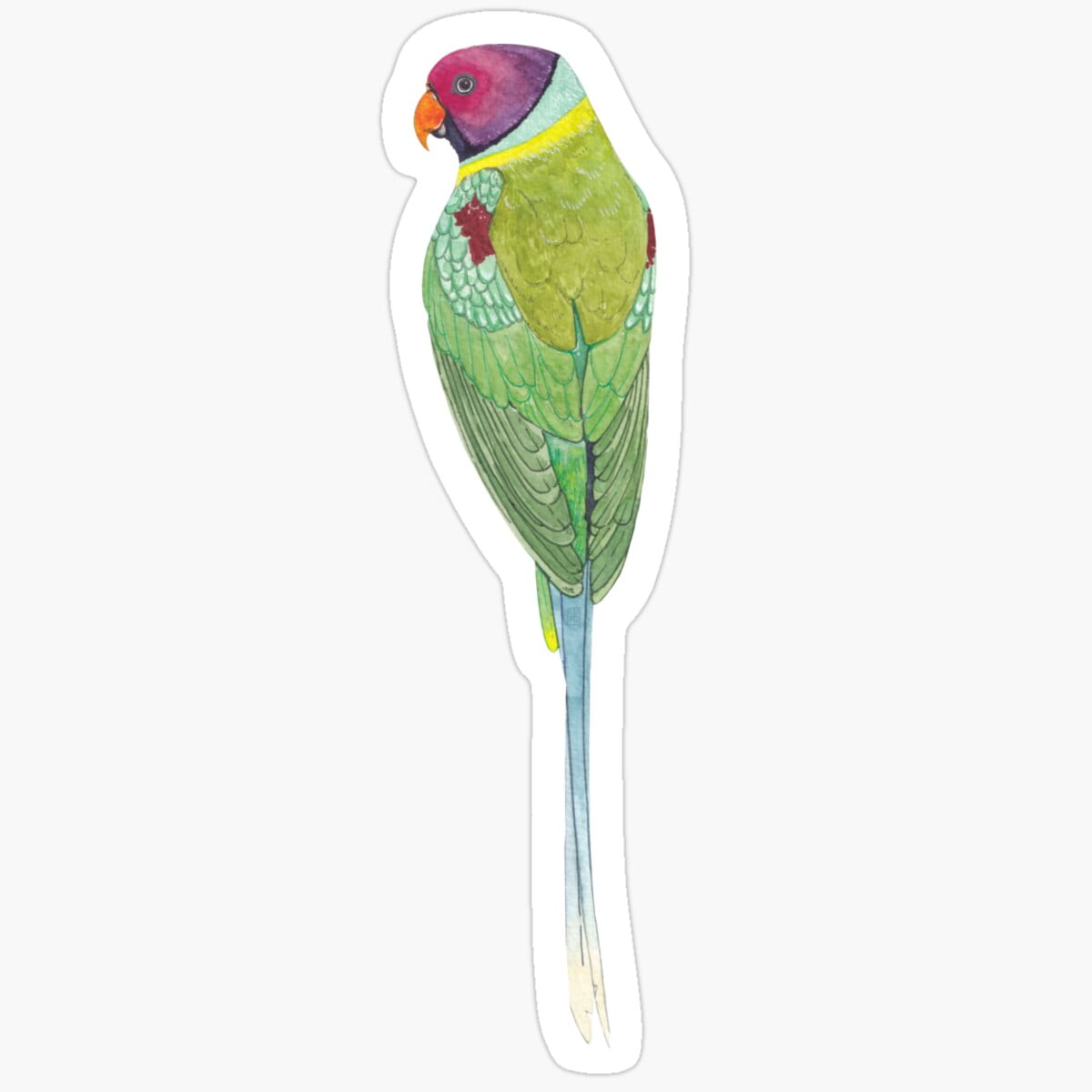 DOPASTICKER Plum-Headed Parakeet-Psittacula Cyanocephala Sticker ...