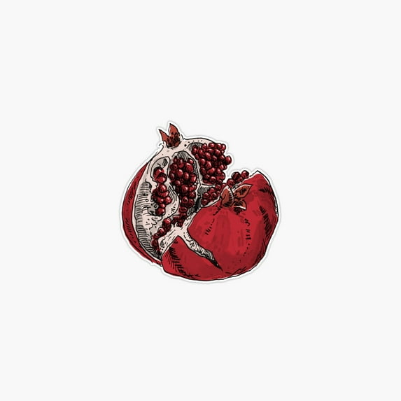 DOPASTICKER Pomegranate Drawing Sticker, Phone Sticker Water Bottle ...