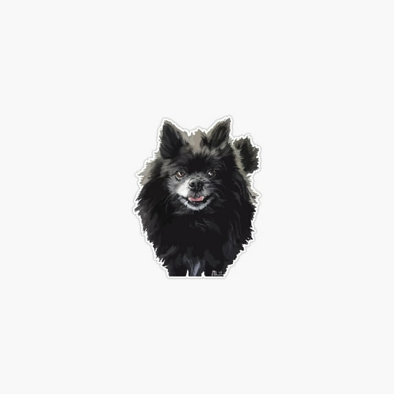 DOPASTICKER Pomeranian - Digital No Background Sticker, Phone Sticker ...