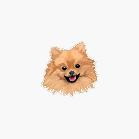 DOPASTICKER Pomeranian Sticker, Phone Sticker Water Bottle Sticker Car ...