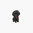 DOPASTICKER Poodle - Miniature Black Pup Sticker, Phone Sticker Car ...