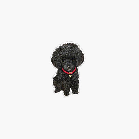 DOPASTICKER Poodle - Miniature Black Pup Sticker, Phone Sticker Car ...