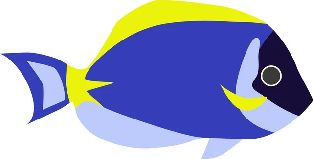 DOPASTICKER Powder Blue Tang Fish Sticker Rainbow Beautiful Fish ...