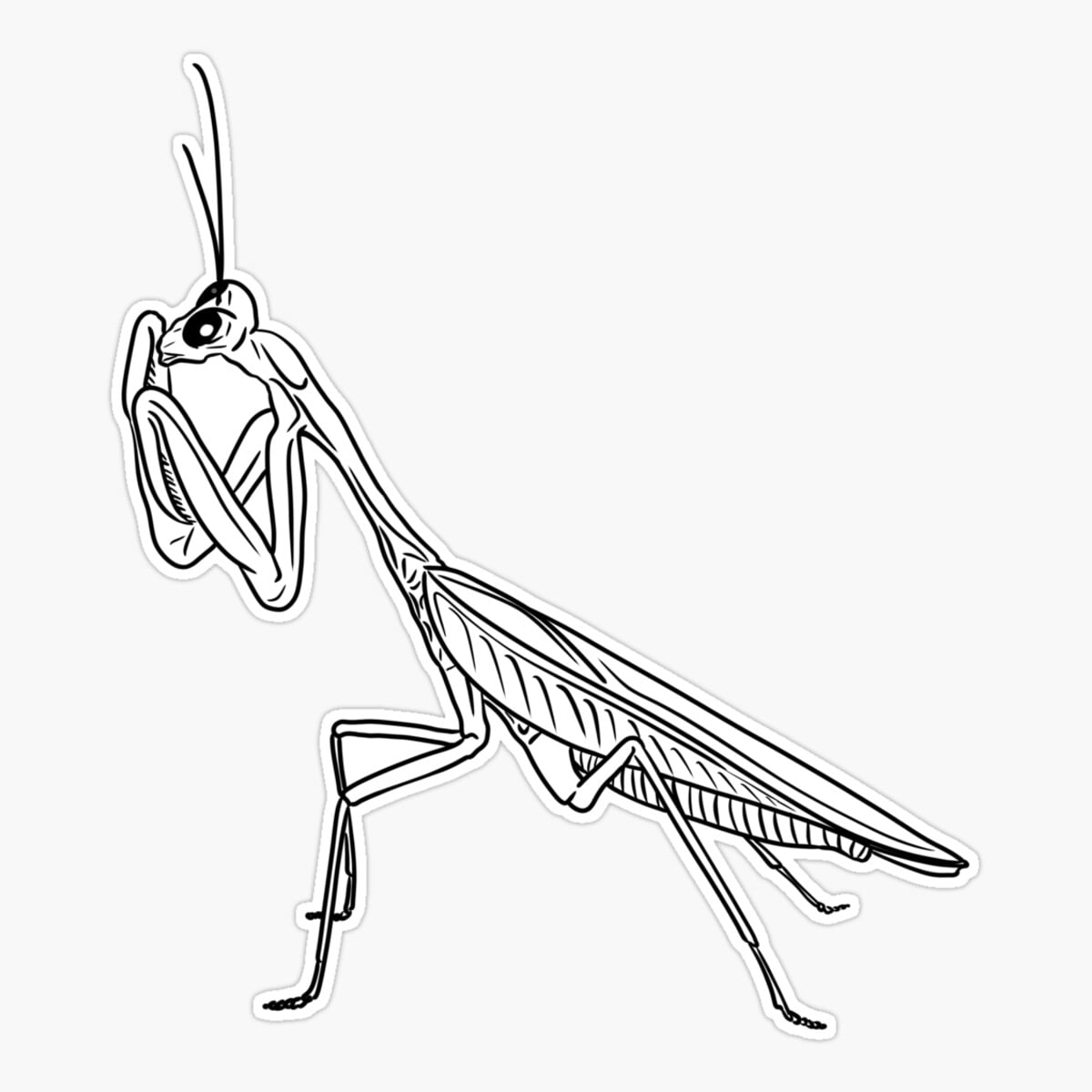 DOPASTICKER Praying Mantis Lineart Sticker, Phone Sticker Car Sticker ...