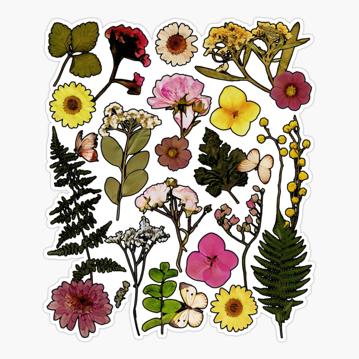 DOPASTICKER Pressed Flowers Fairycore Botanical Cottagecore Wildflowers ...