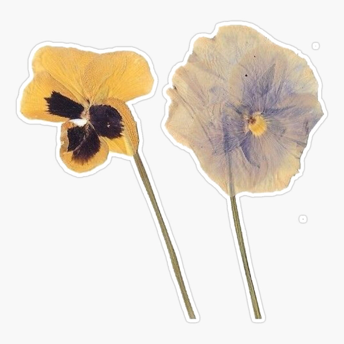 DOPASTICKER Pressed Flowers Sticker, Phone Sticker Car Stickers ...