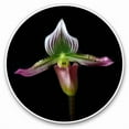 DOPASTICKER Pretty Orchid Flower Garden Cool Gift Decorative Laptop ...