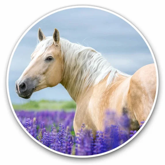 DOPASTICKER Pretty Palomino Horse Pony Cool Gift Decorative Laptop ...