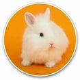 DOPASTICKER Pretty White Fluffy Bunny Rabbit Cool Gift Decorative ...
