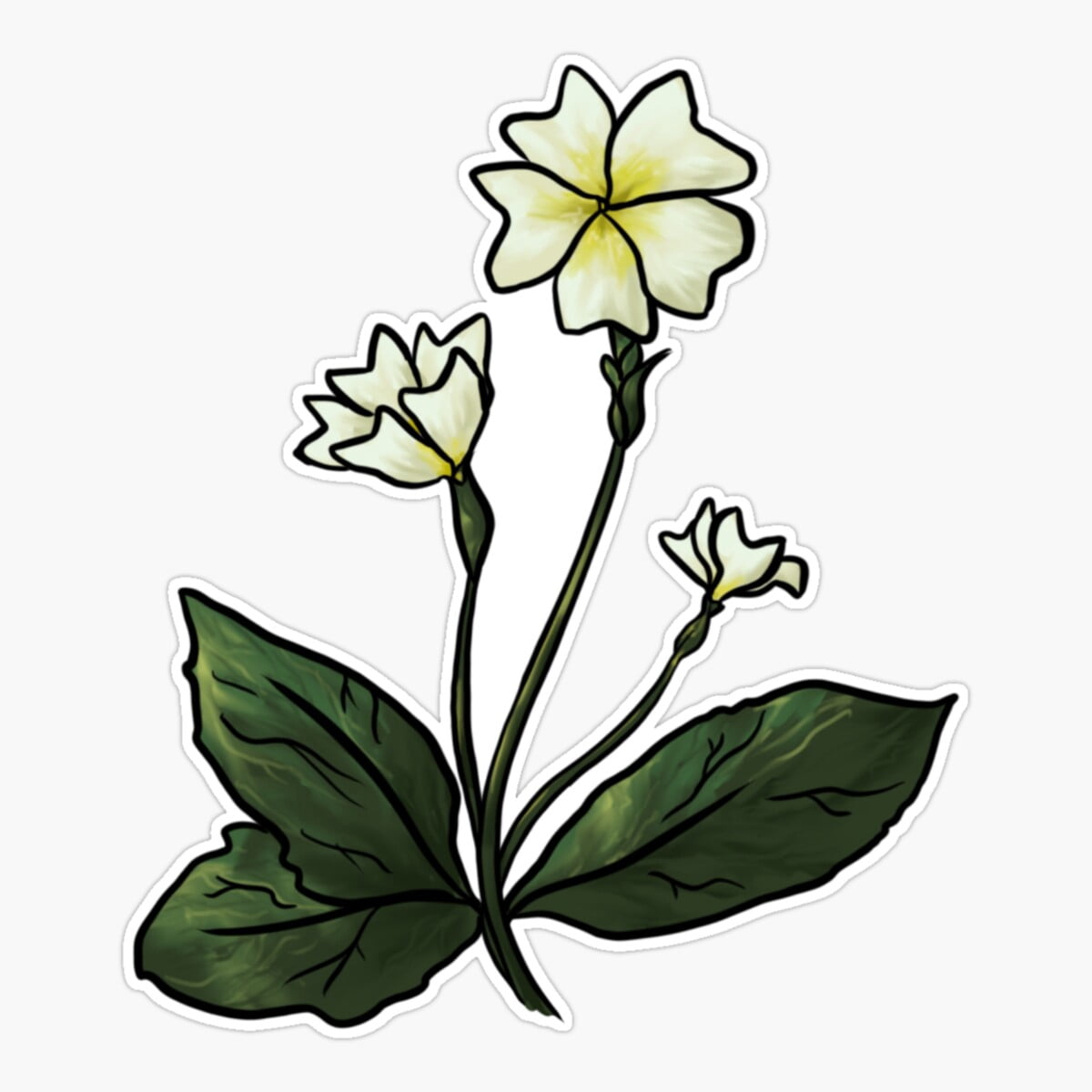 DOPASTICKER Primrose Sticker, Phone Sticker Water Bottle Sticker Car ...