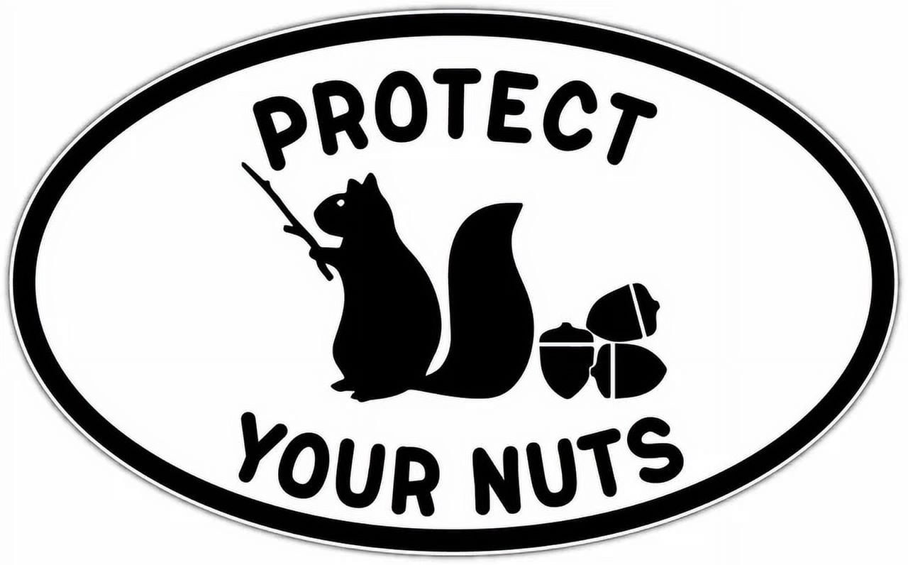 DOPASTICKER Protect Your Nuts Squirrel Oval Car Sticker Decal Phone ...