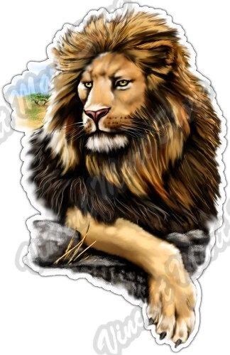 DOPASTICKER Proud Lion Wildlife Cat Animal King Car Sticker Decal Phone ...