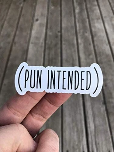DOPASTICKER Pun Intended Sticker Laptop Decal Sticker Phone Decal Water ...