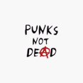 DOPASTICKER Punk'S Not Dead Sticker, Phone Sticker Car Stickers ...