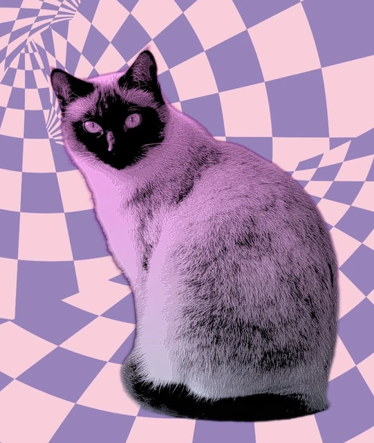 DOPASTICKER Purple Cat Sticker Cute Siamese Hippie Boho 60S Groovy ...