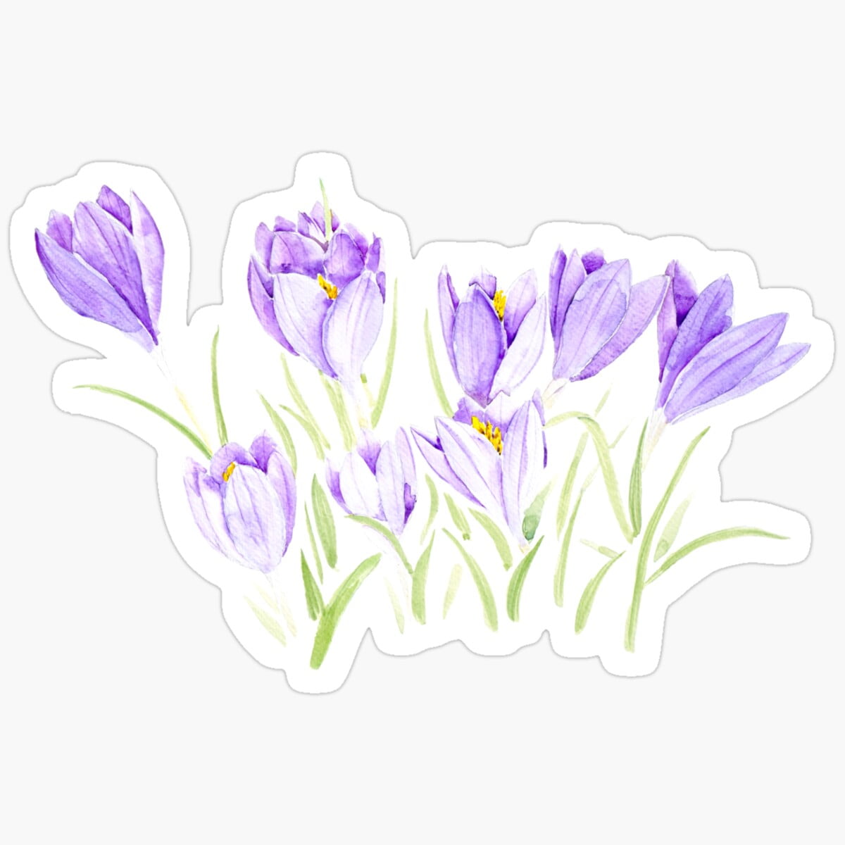 DOPASTICKER Purple Crocus Flowers Watercolor Sticker Birthday Gifts ...