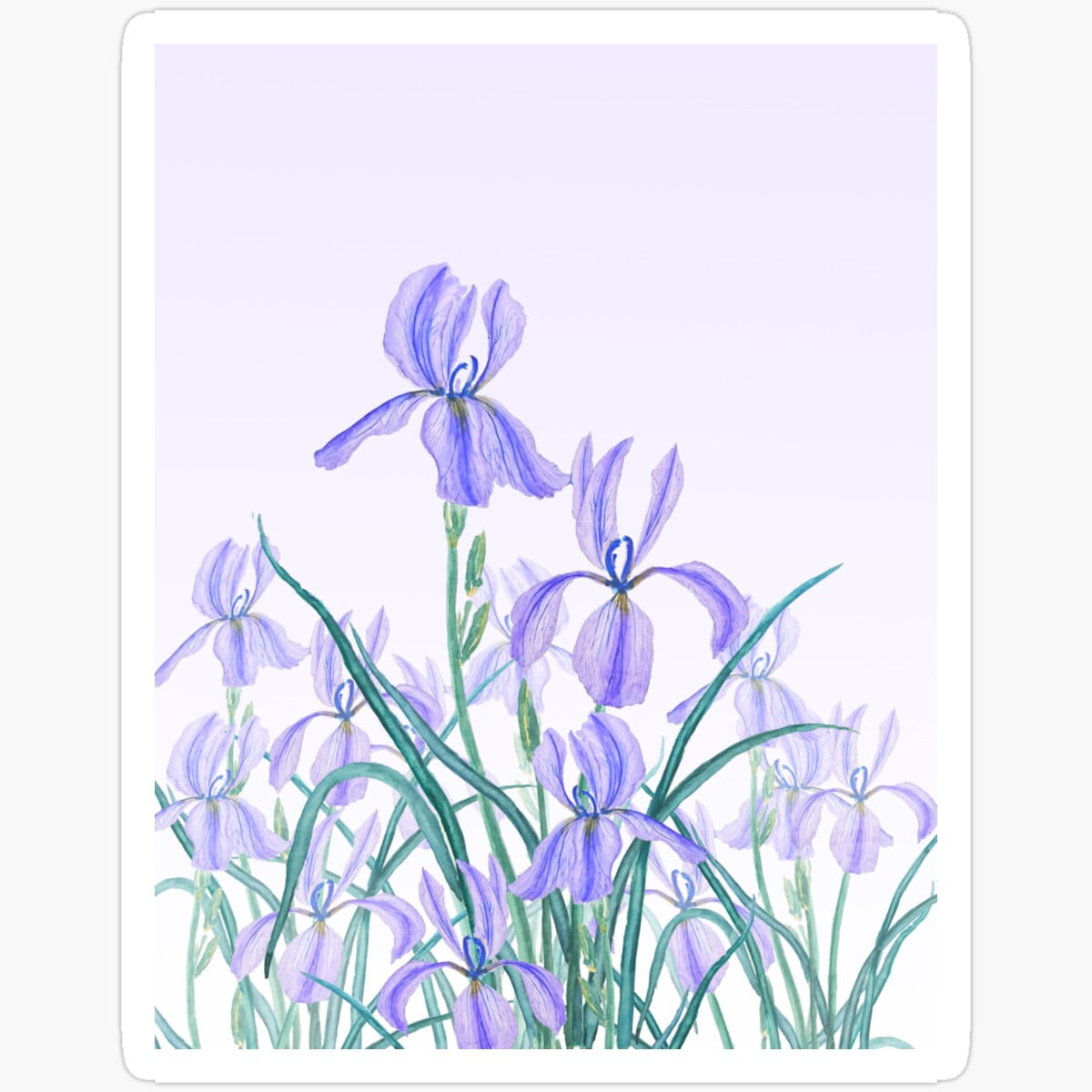 DOPASTICKER Purple Iris Sticker Birthday Gifts - Decorative Laptop ...