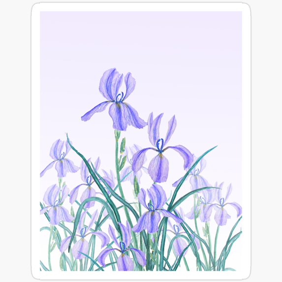 DOPASTICKER Purple Iris Sticker Birthday Gifts - Decorative Laptop ...