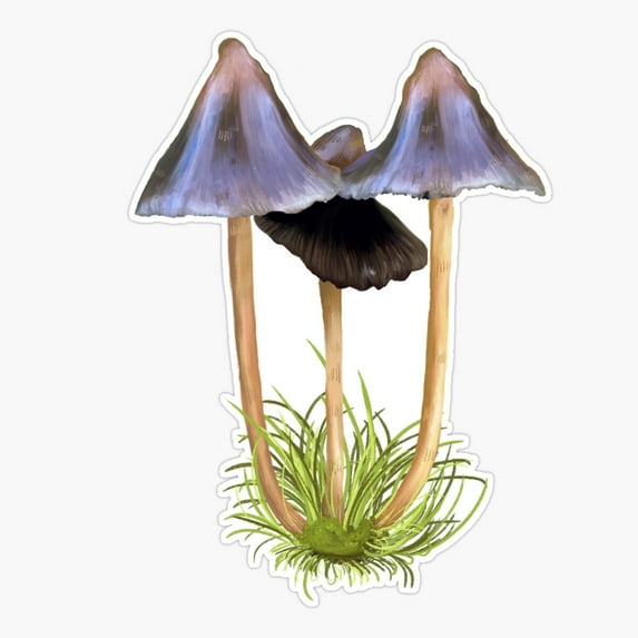 DOPASTICKER Purple Liberty Cap Family Sticker, Phone Sticker Car ...