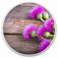 DOPASTICKER Purple Scottish Thistle Cool Gift Decorative Laptop, Phone ...