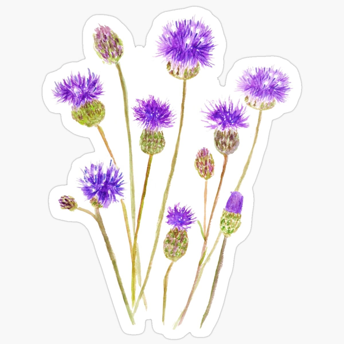 DOPASTICKER Purple Thorny Wildflower Glossy Sticker Birthday Gifts ...