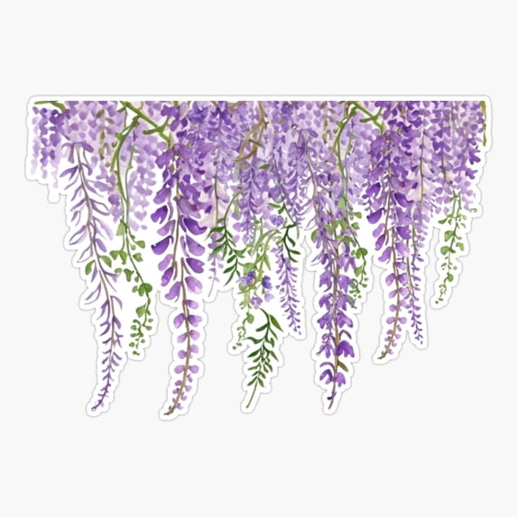 DOPASTICKER Purple Wisteria In Bloom Sticker, Phone Sticker Car ...