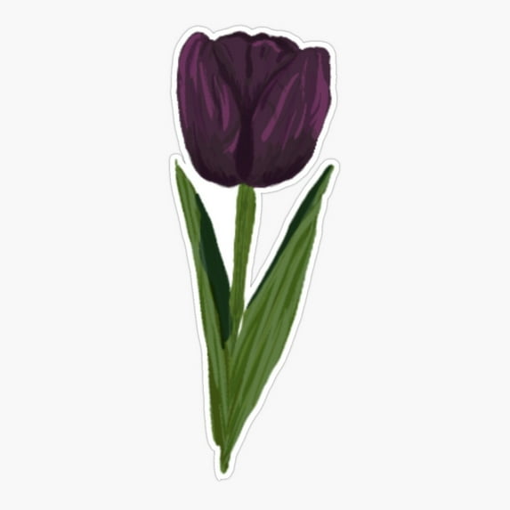 DOPASTICKER Queen Of Night Tulip Flower Sticker, Phone Sticker Car ...