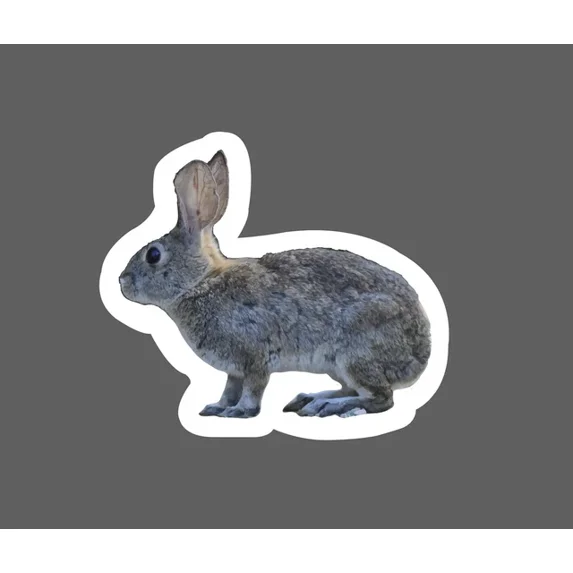 DOPASTICKER Rabbit Sticker Realistic Hare Nature Wildlife Sticker Phone ...