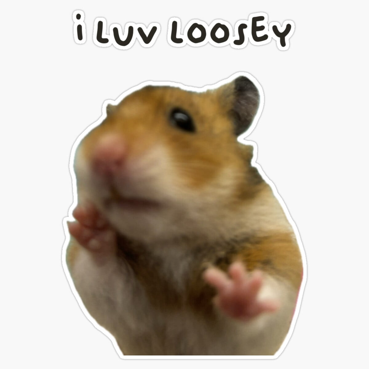 DOPASTICKER Raidan'S Hamster Fan Club Sticker, Phone Sticker Car ...