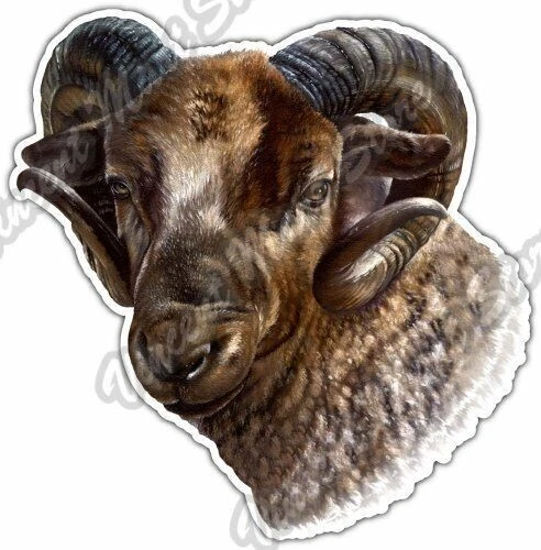 DOPASTICKER Ram Stare Sheep Head Farm Animal Wildlife Car Sticker Decal ...