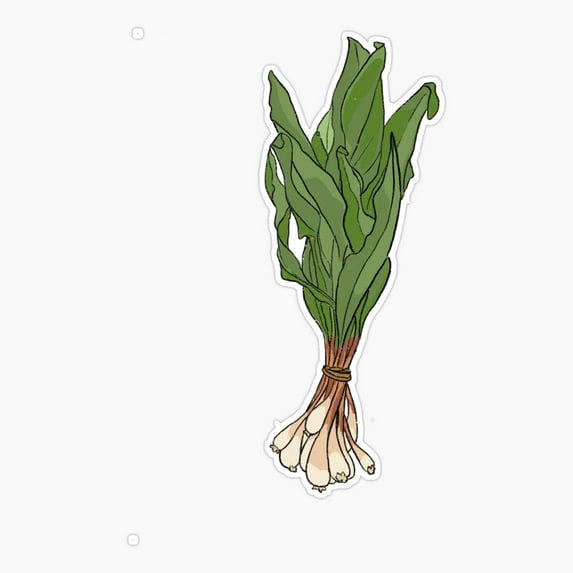 DOPASTICKER Ramps Sticker, Phone Sticker Water Bottle Sticker Car ...