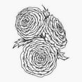 DOPASTICKER Ranunculus Flower Line Drawing Sticker, Phone Sticker Car ...