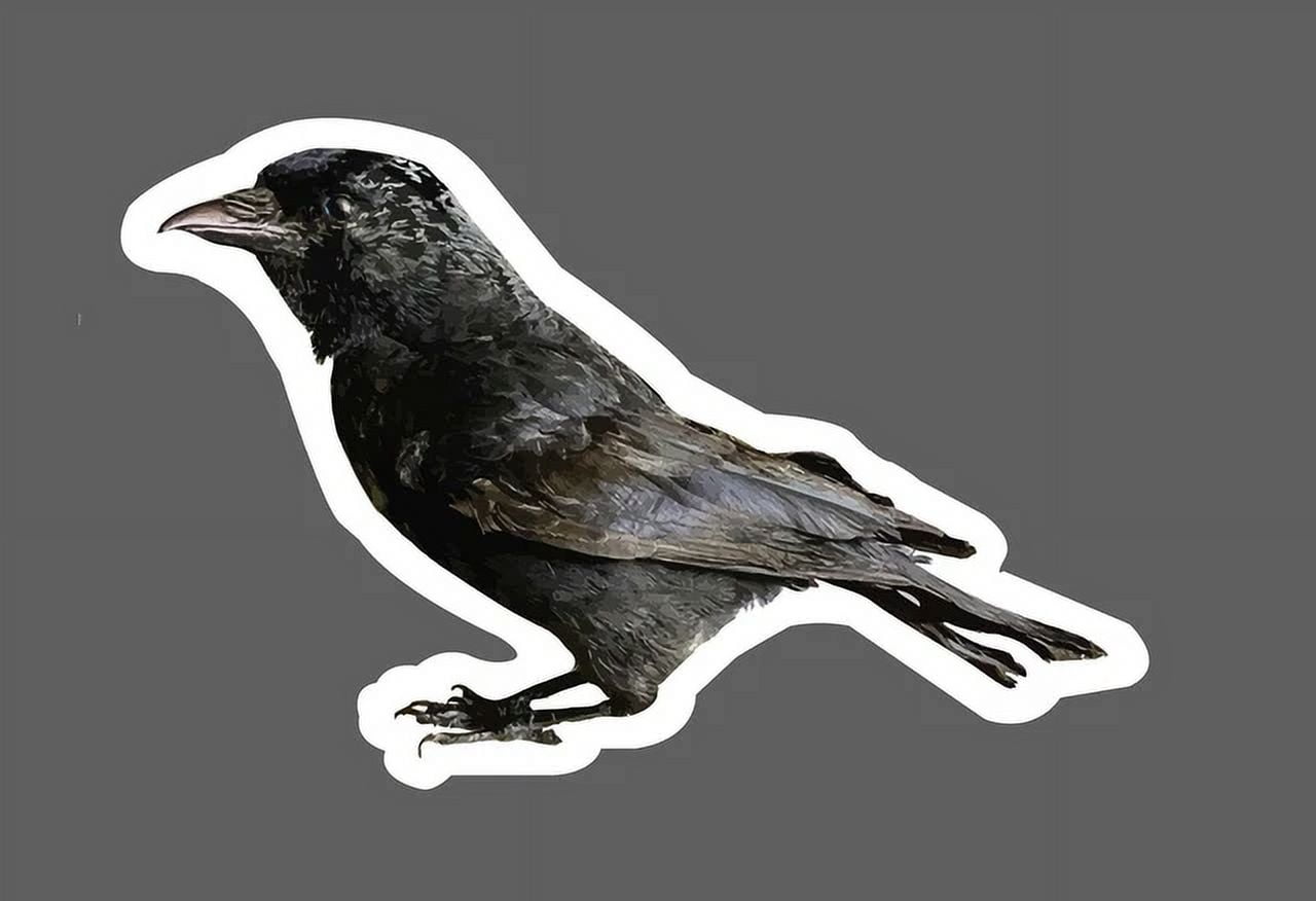 DOPASTICKER Raven Sticker Crow Realistic Animal Wildlife Sticker Phone ...