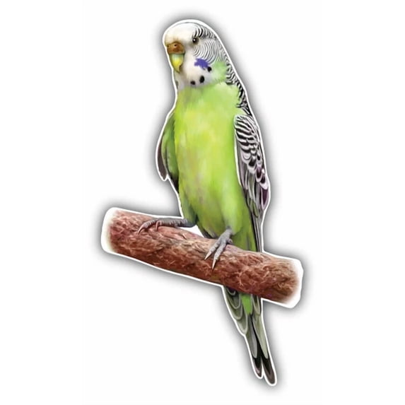 DOPASTICKER Realistic Waving Parrot Sticker Decal Phone Decal Water ...