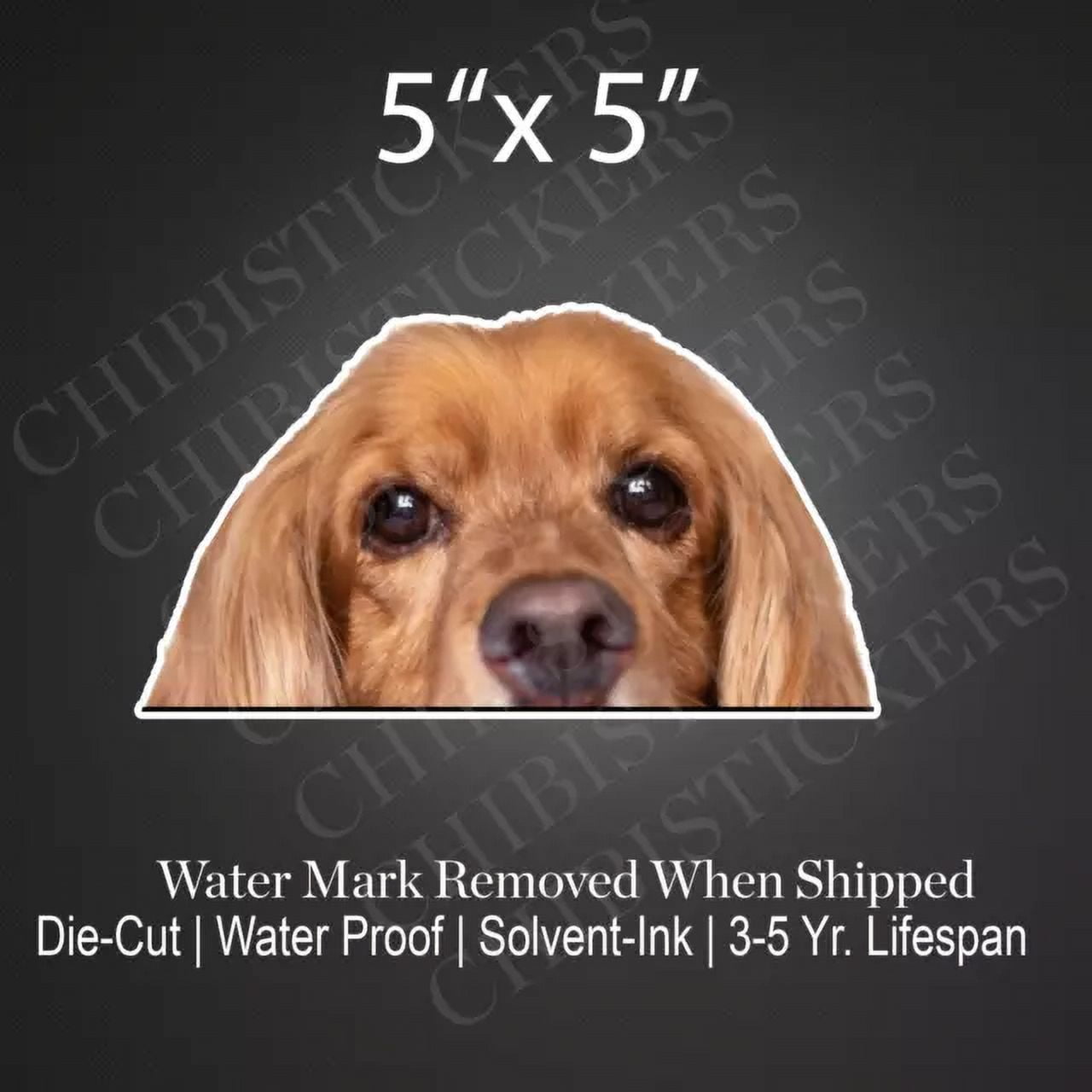 DOPASTICKER Red Cocker Spaniel Realistic Dog Peeker Sticker Waterproof ...
