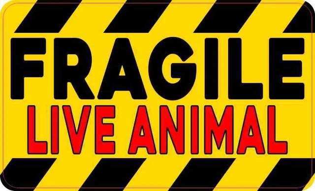 DOPASTICKER Red Fragile Live Animal Sticker Phone Sticker, Latop ...