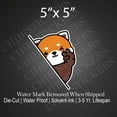DOPASTICKER Red Panda Chibi Cutie Adorable Animal Sticker Peeker ...