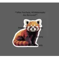 DOPASTICKER Red Panda Sticker Animal Cute Wildlife Nature Sticker Phone ...