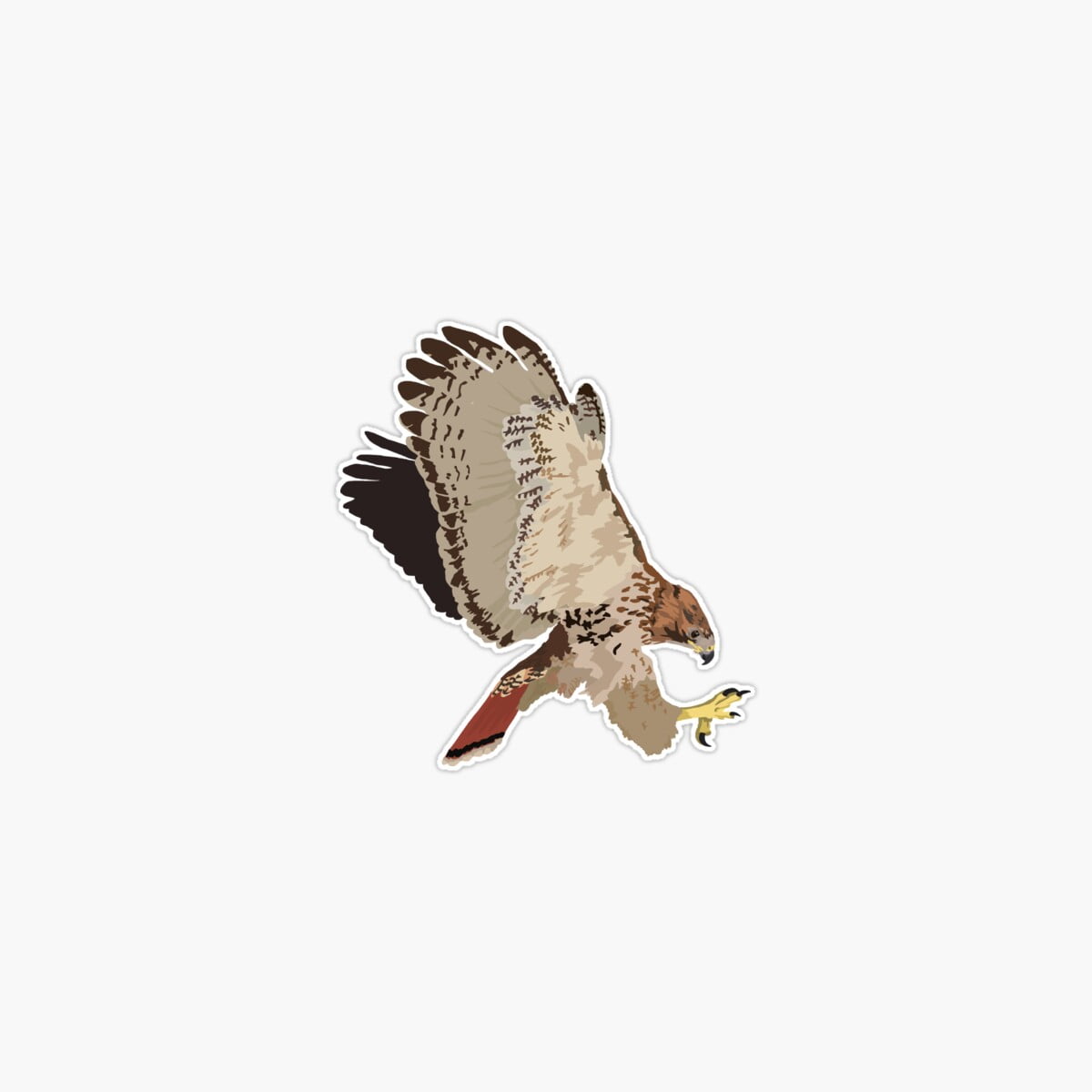 DOPASTICKER Red-Tailed Buzzard In Flight Sticker, Phone Sticker Car ...