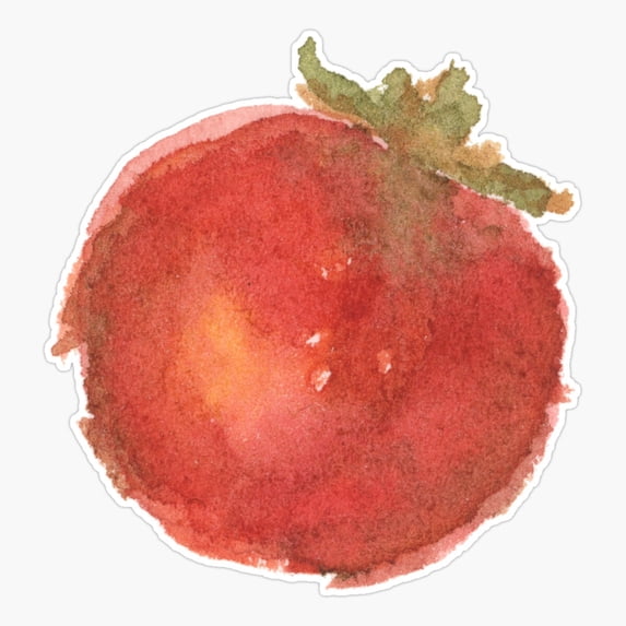 DOPASTICKER Red Watercolor Tomato Sticker, Phone Sticker Car Sticker ...