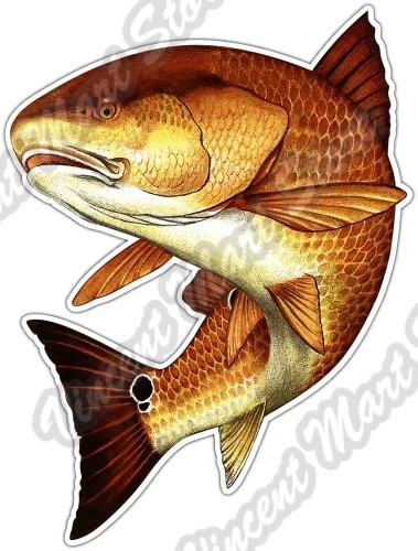 DOPASTICKER Redfish Swim Red Fish Fishing Fisherman Car Sticker Decal ...