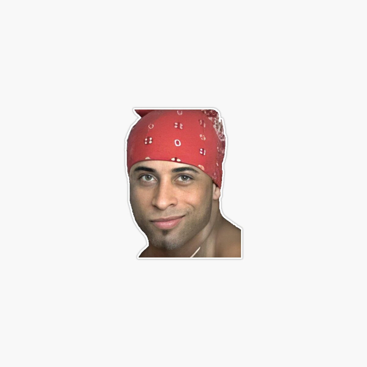 DOPASTICKER Ricardo In Hd Sticker, Phone Sticker Water Bottle Sticker ...