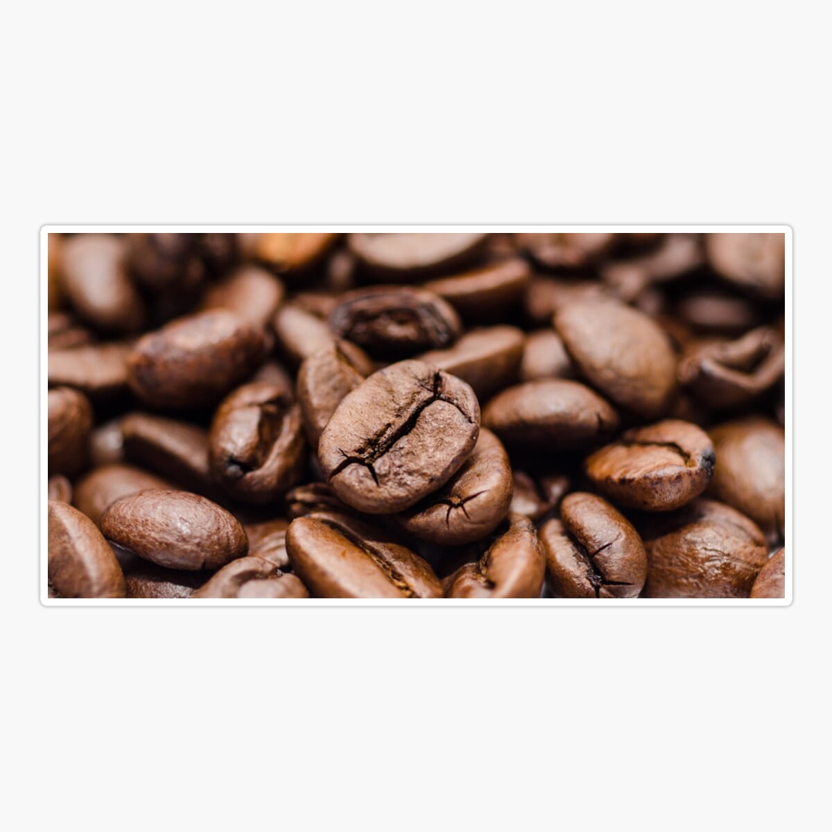 DOPASTICKER Roasted Coffee Beans Sticker, Phone Sticker Water Bottle ...