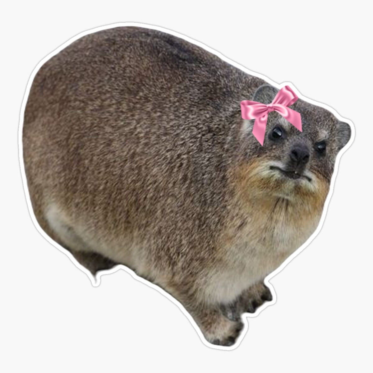 DOPASTICKER Rock Hyrax Wearing Bow Sticker, Phone Sticker Car Sticker ...