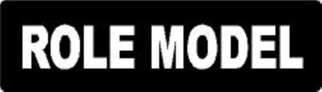 DOPASTICKER Role Model Sticker Phone Decal Water Bottle Stickers, Cars ...