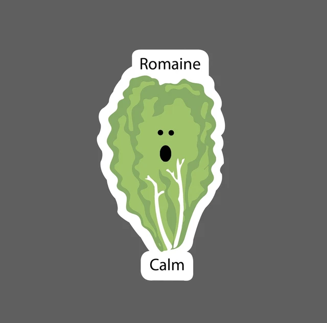 DOPASTICKER Romaine Calm Sticker Lettuce Quote Food Sticker Phone ...