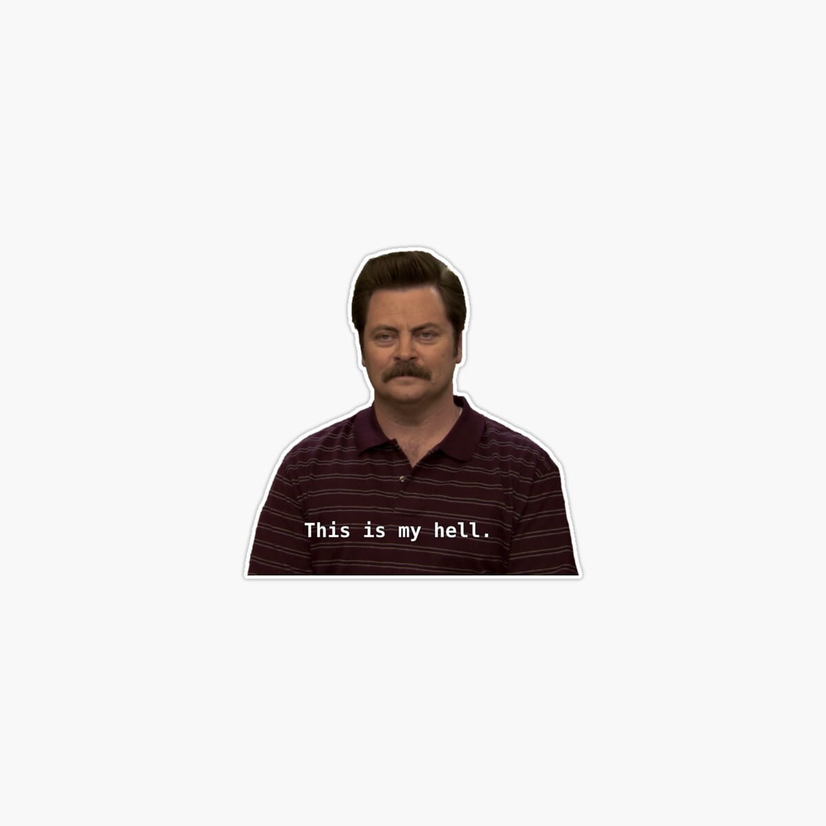DOPASTICKER Ron Swanson Sticker, Phone Sticker Car Stickers, Birthday ...