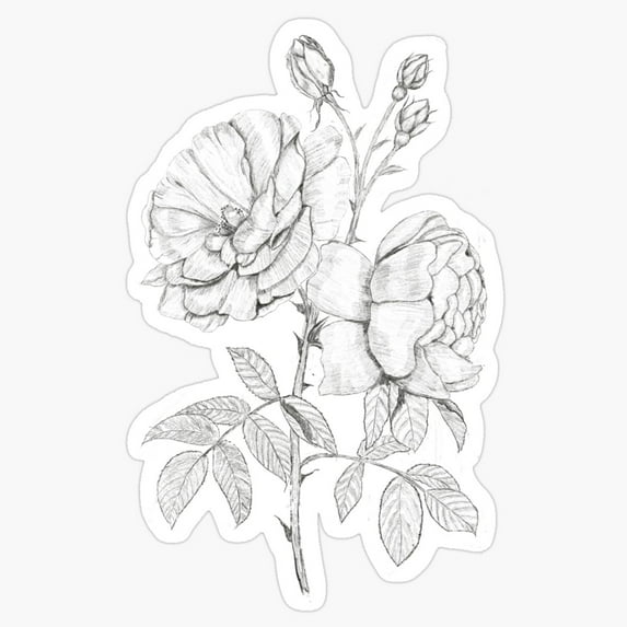 DOPASTICKER Rose Sk Sticker Birthday Gifts - Decorative Laptop, Phone ...