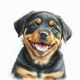 DOPASTICKER Rottweiler Dog Car Sticker Dogs Sticker Phone Sticker ...