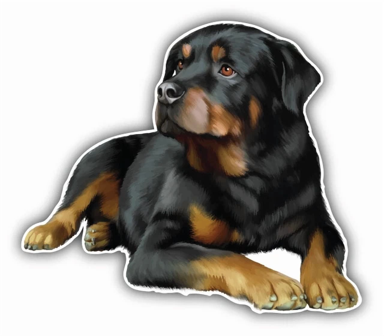 DOPASTICKER Rottweiler Dog Sticker Decal Phone Decal Water Bottle ...
